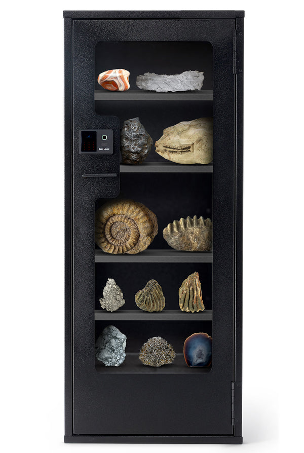 BlumSafe Secure Display Cabinet for Watches - Safe and Vault Store.com