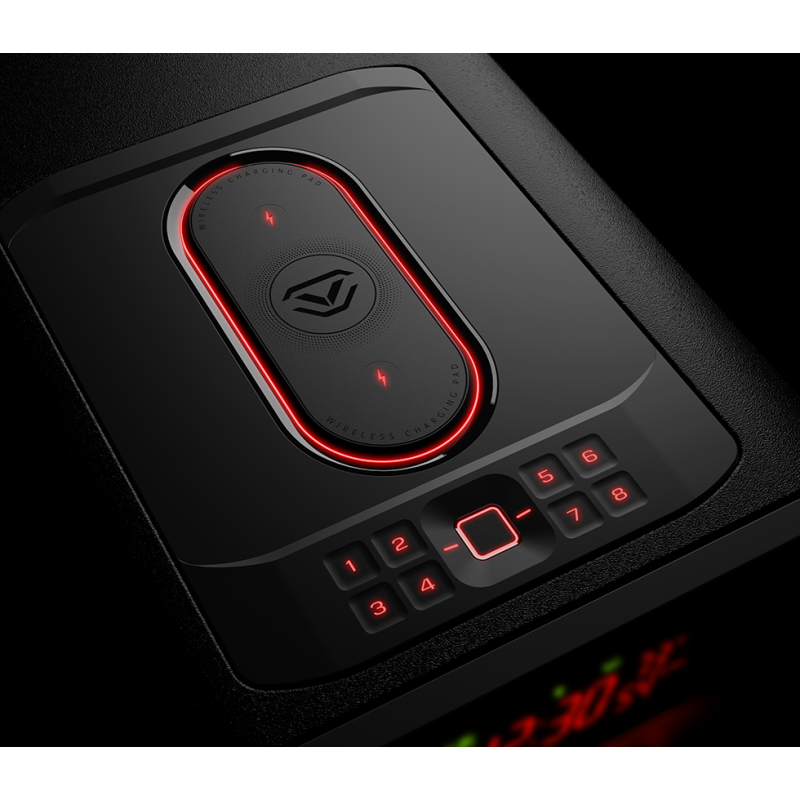 Vaultek DS5i Biometric Smart Station Slider - Safe and Vault Store.com