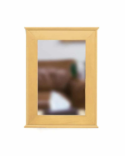 Tactical Walls 1420M Hinged Concealment Mirror with Magnetic Lock ...