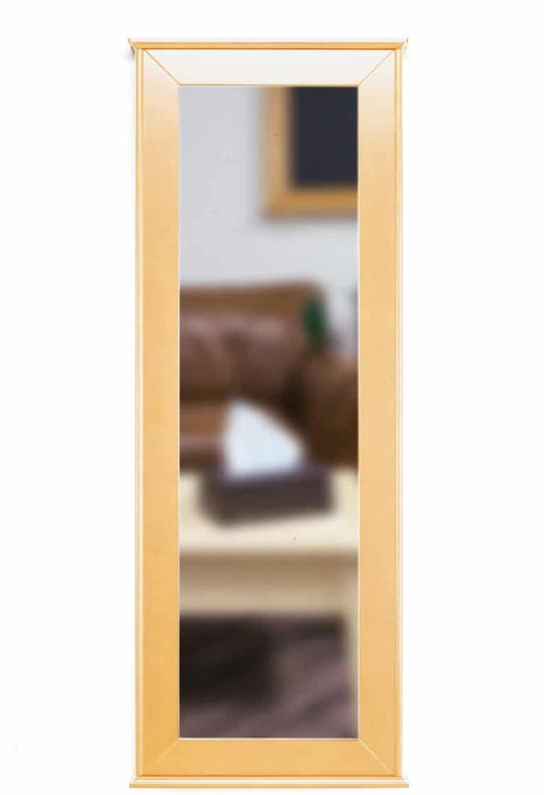 Tactical Walls 1450M Full Length Sliding Concealment Mirror with Magne ...